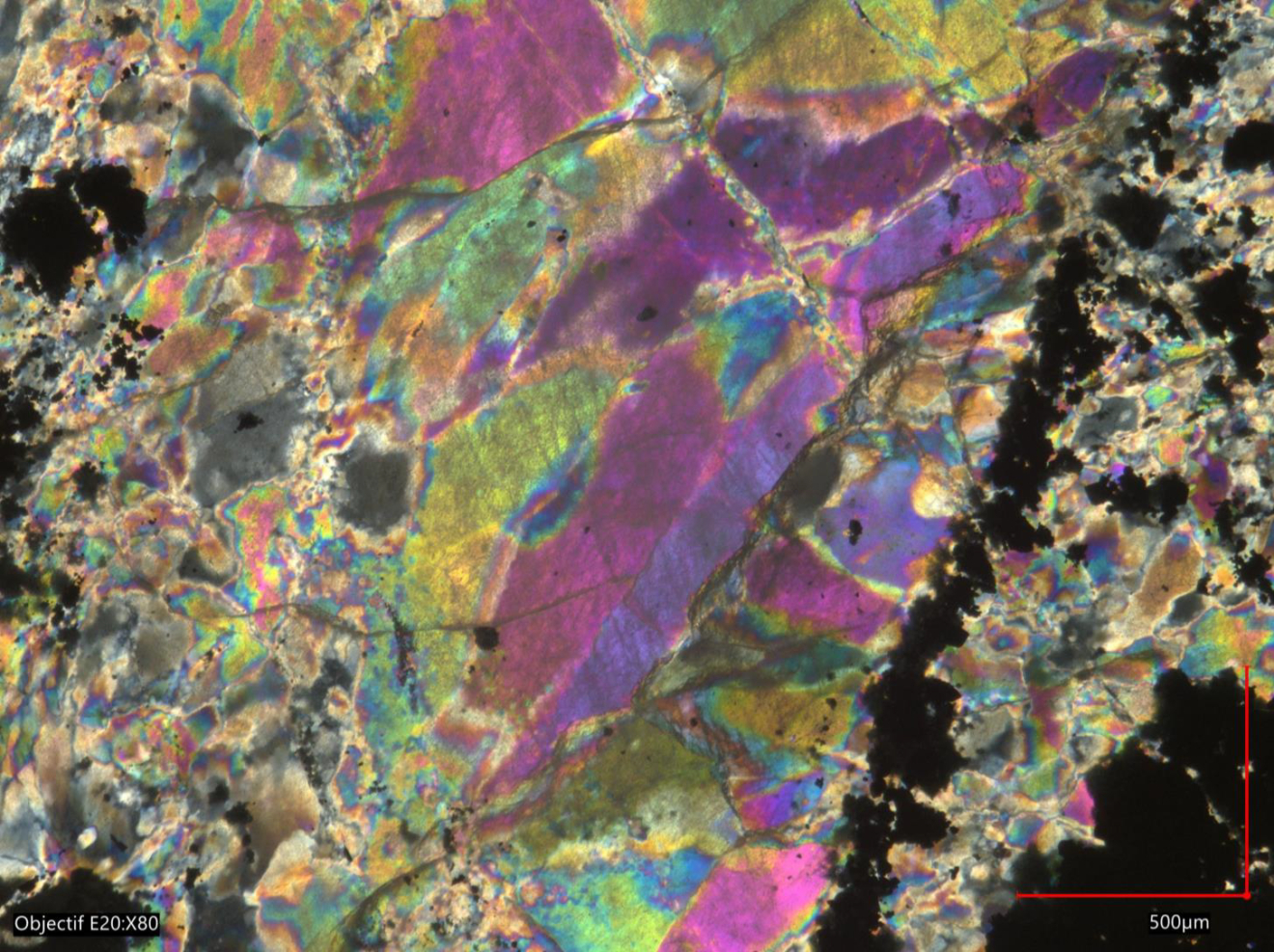 Microscopie optique – Geosciences Montpellier